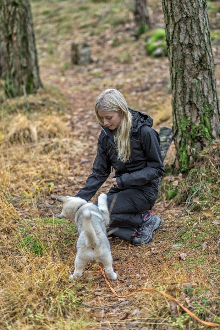 Trollfjell selebukse dame | Stormberg